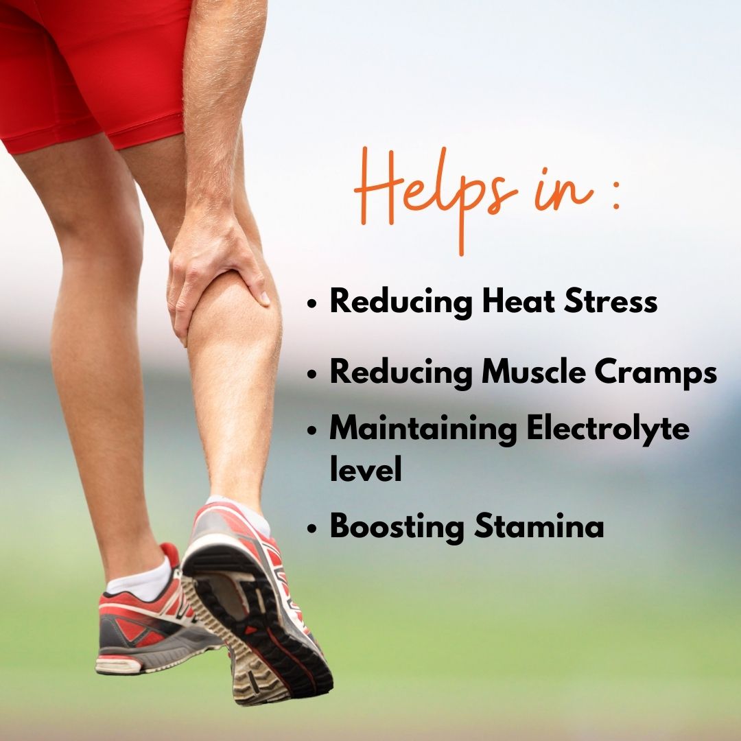 ElectroFizz Zero-Sugar Electrolyte-Cramp Assault-Hydration Powder | Pr ...